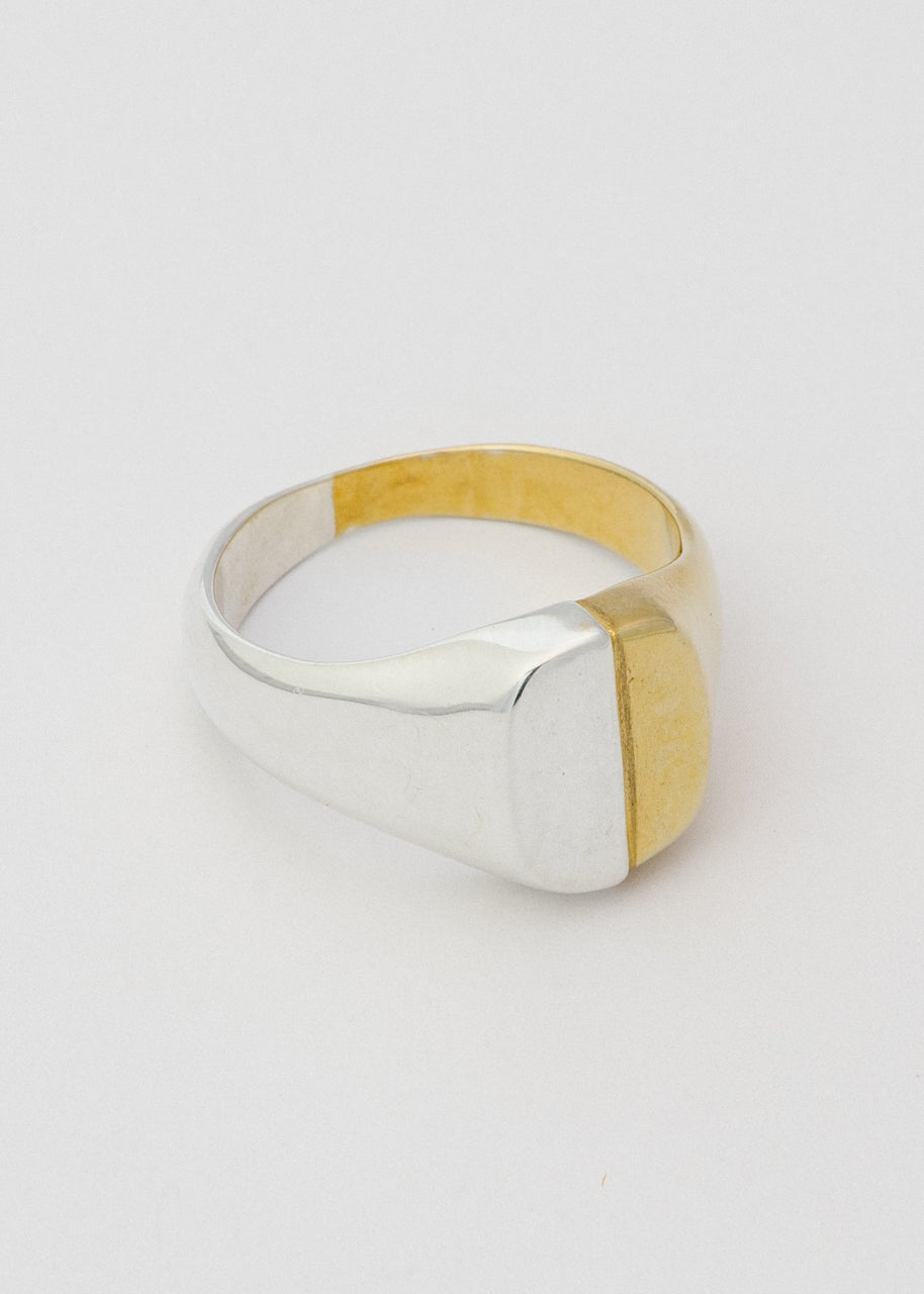 B213 / DUAL NATURED SIGNET RING