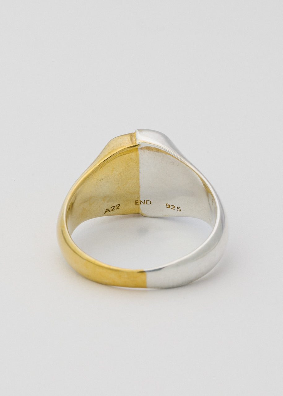 B213 / DUAL NATURED SIGNET RING