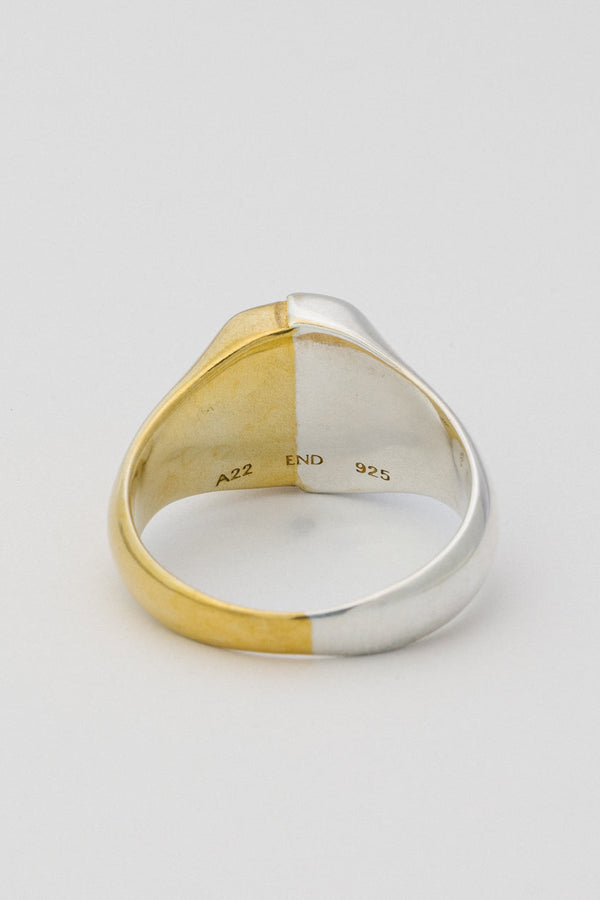 B213 / DUAL NATURED SIGNET RING